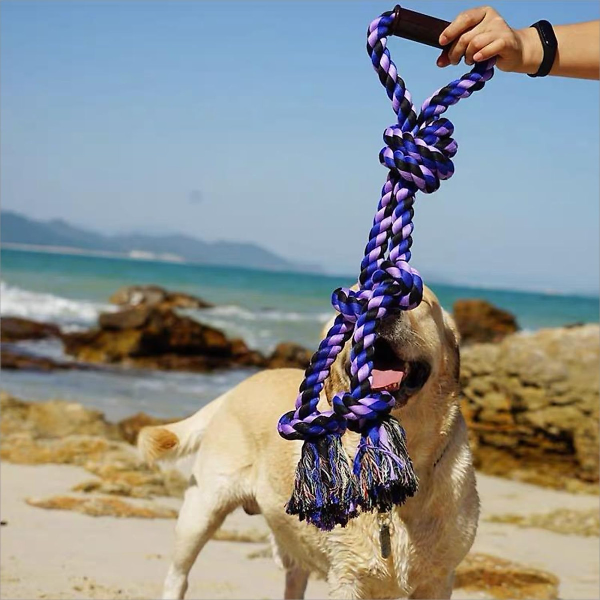 YORUWAN Dog Rope Toys for Aggressive Chewers Large Breeds, Interactive Toys,Tough Dog Chew Toys for Large and Medium Dogs, Indestructible Dental Cleaning Dog Tug of War Toys (Purple)