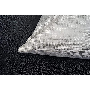 DZGlobal Porch Pillows Decorative Outdoor Pillows for Patio Furniture Cushions Covers Set of 2 Welcome Lumbar Pillow with Words 12x20 for Outside Chair Bench