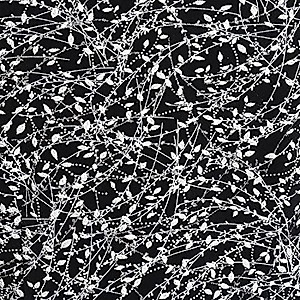 Alex Evenings Women's Empire Waist Dress with Side Ruched Skirt and Jacket (Petite and Regular Sizes), Black/White, 16