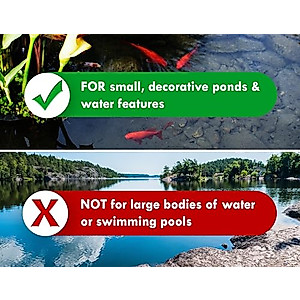 KoiWorx Defoamer - 32oz- Removes Foam from Decorative and Ornamental Ponds, Safe for Koi