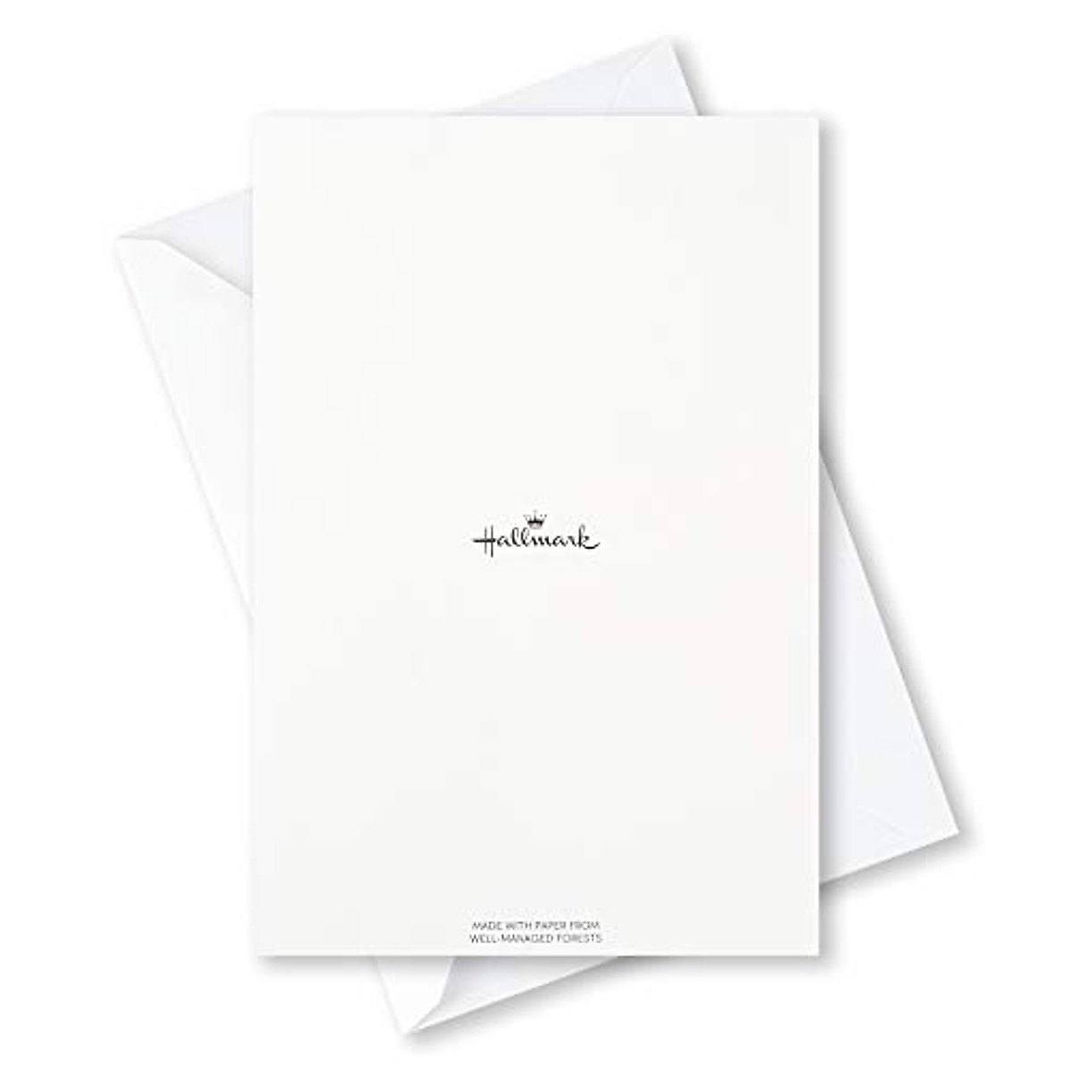 Hallmark Assorted Thinking of You, Get Well, Sympathy Cards (12 Cards with Envelopes) Nature Prints