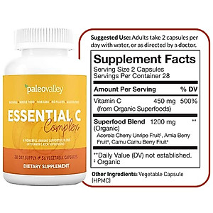 Paleovalley Essential C Complex - Vitamin C Supplement for Immune Support - 3 Pack, 450mg - From Organic Superfoods Unripe Acerola Cherry, Camu Camu, Amla Berry - No Synthetic Ascorbic Acid - USA Made