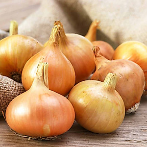 Organic fresh yellow onions fresh produce Vegetable 10 Lbs