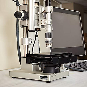 Avery Metallic Asset Tag Labels, 3/4 x 2", Laser Printable Tags, 240 Waterproof Labels (61524)