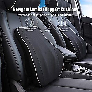 Newgam Lumbar Support Pillow/Back Cushion,Memory Foam Orthopedic Backrest with Breathable 3D Mesh for Car Seat,Office/Computer Chair,Wheelchair and Recliner,Ergonomic Design for Back Pain Relief-Black