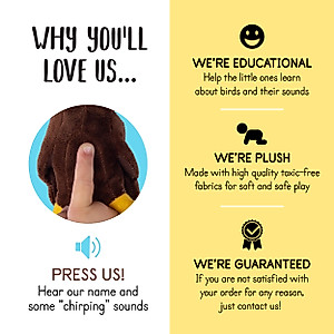 Talking Plush Audubon Birds | Audubon Stuffed Bird | Talking Bird Toy | Audubon Bird Stuffed Animals | Plush Birds with Authentic Sound | Includes 4 Talking Birds | Plush Bird House Shaped Carrier