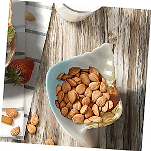 1pc Conch Plate Mold Resin Molds Tray Molds for Resin Silicone Molds for Resin Silicone Jar Mold Resin Trinket Container Mold Silicone Shell Tray Professional DIY Mold Crafts Mold