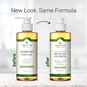 Tree to Tub Peppermint Shampoo for Oily Hair & Sensitive Scalp - Gentle Clarifying Shampoo for Build Up, Sulfate Free Anti Residue Hair Shampoo for Women & Men w/Organic Argan Oil, Natural Aloe Vera
