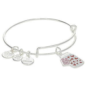 Alex and Ani Color Infusion Self Love Club Bracelet Silver One Size
