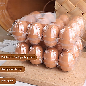 LOVEINUSA 48PCS Clear Egg Cartons, Plastic Egg Holders Egg Cartons Cheap Bulk for Home Ranch Chicken Farm Market Display 12-cavity