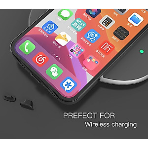 (10 Pieces) Anti Dust Plugs for iPhone 14, 13, 12, 11, Pro, X, Xs Max, XR, 8, 8 Plus, 7, 7 Plus, 6 Plus, 6s Plus, 6, 6 Plus, SE, iPhone Lightning Port Cover for iPhone iPad Mini/Air iPods,Black
