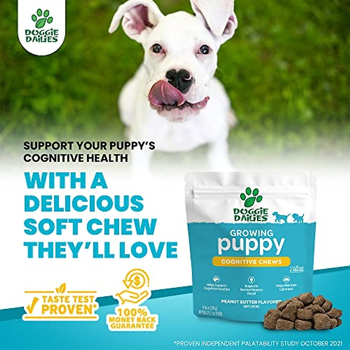 Doggie Dailies Cognitive Puppy Chews | Puppy Vitamins with DHA, Selenium, Organic Ashwagandha & Antioxidants to Support Brain Health, Nervous System Function & Promote Calmness | 120 Soft Chews