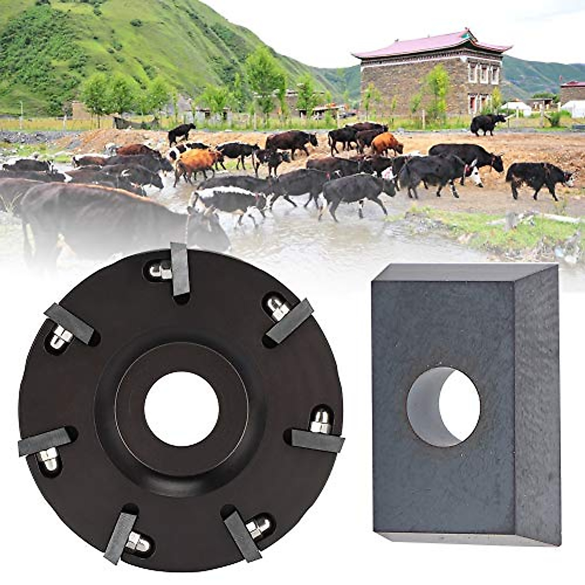 Hoof Cutter Disc Metal Accessory Livestock Sheep Cattle Horses Hoof Trimming Disc Plate Tool (Metal)