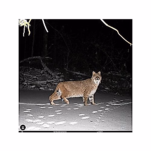 Spartan GC-Z4Gc2 Verizon 4G/LTE White Flash Spartan GoCam