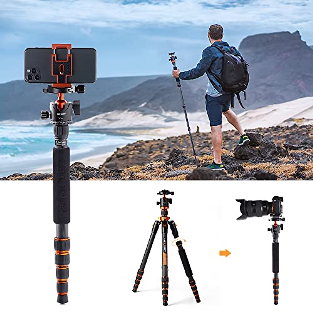 K&F Concept 68" Carbon Fiber Camera Tripod,Compact Tripods with Metal Ball Head,Quick Release Plate,Detachable Monopod 10KG Load for DSLR Cellphone Tripods(SA255C1) D255C4+BH-28L