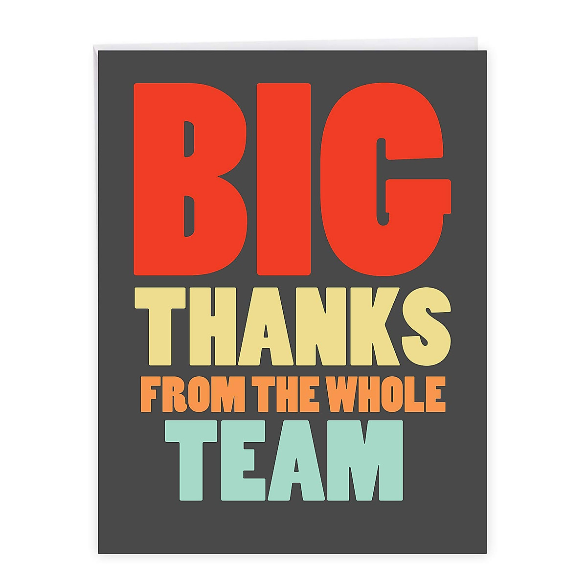 NobleWorks - Coach Thank You Greeting Card with Envelope Group, Coworker, Gang (Big 8.5 x 11 Inch) Big Thanks From The TeamJ6884TYG-US