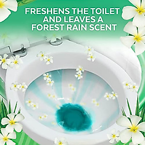 Lysol Toilet Bowl Cleaner Gel, For Cleaning and Disinfecting, Stain Removal, Forest Rain Scent, 24oz (Pack of 2)