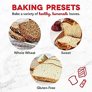 Dash Everyday Stainless Steel Bread Maker, Up to 1.5lb Loaf, Programmable, 12 Settings + Gluten Free & Automatic Filling Dispenser - Black