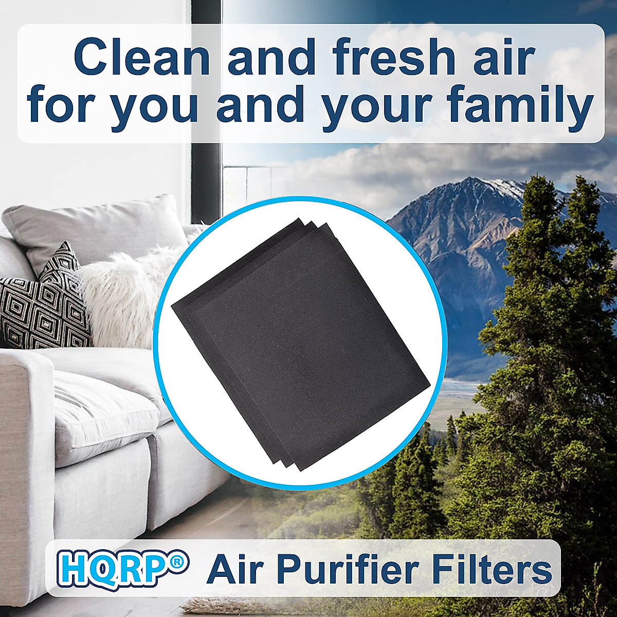 HQRP 6-Pack Carbon Filters Compatible with Hamilton Beach 04922 Replacement fits TrueAir 04160, 04161 models, fits 04912 HEPA Filter