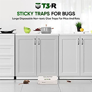 T3-R ​​Sticky Large Rat & Mice Glue Traps | Mouse and Insect Glue Boards | Disposable Non-Toxic Glue Traps for Mice and Rats | Peanut Butter Scent Sticky Traps (36 Pack)