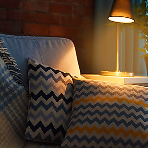 Mudder 10 Pieces Halogen Light Bulbs MR11 12V FTD Halogen Spotlight Bulbs, GU4 Bi-Pin Base, Glass Cover, Warm White 2700K Dimmable Precision Halogen Reflector Fiber Optic Light Bulb (20 Watt)