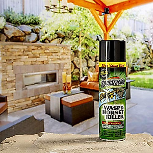 Spectracide Wasp and Hornet Killer Aerosol, 20-Ounce, 2-Pack