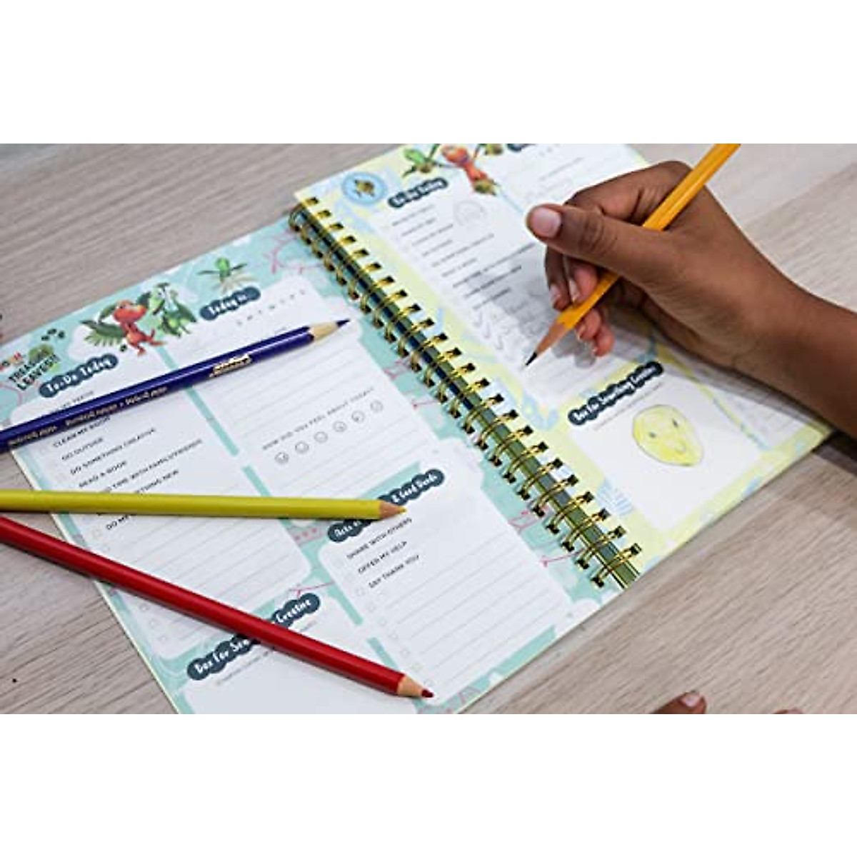 Bright Day Calendars Dino Train Kids Chore to Do List Daily Task Checklist Planner Time Management Notebook by Bright Day Cool Kids Room Non Dated Flex Cover Spiral Organizer 8.25 x 6.25