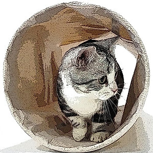 HeyKitten Tearproof Paper Cat Play Tunnel with Crinkle Sound, Durable Kraft Constructed, Collapsible Hideaway Pet Toy for Indoor Kittens, Puppies, Bunnies, Ferrets and Adult Pets, 10" Small