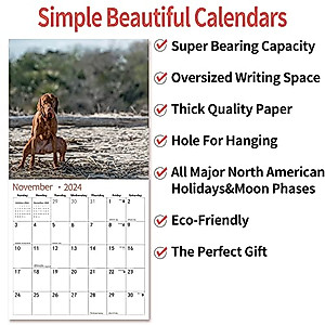 Gag Gift 2024 Wall Calendar, Funny Memes White Elephants Pooping Dogs Calendar 2024,14 Monthly Calendar, November 2023 - December 2024, 12" x 24" Opened Full Page Thick & Sturdy Paper for Organizing &