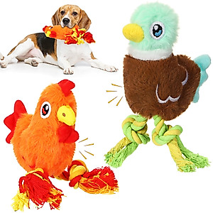 Leyndo 2 Pack Squeaky Plush Dog Toy Duck Chicken Dog Toy Teething Toys for Dog Puppies Interactive Stuffed Chew Toys Stuffed Animal Chew Toys for Small Medium Dogs Halloween Christmas Present