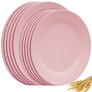 NA 10" 11" Dinner Plates Set of 10, Reusable Wheat Straw Dessert Dishes, Round Pasta Salad Serving Plate, Unbreakable Fiber Dinnerware for Party Steak Pizza (Pink)