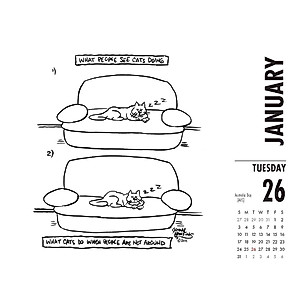 Cat Cartoon-A-Day by Jonny Hawkins 2021 Box Calendar
