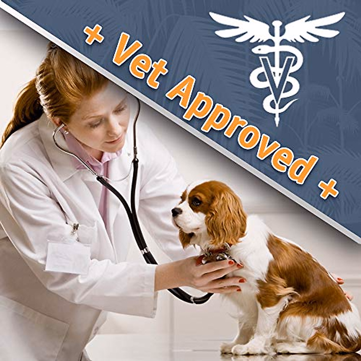 Jungle Pet Omega 3 Fish Oil for Dogs - Softgels Capsules Omega 3 for Dogs - Healthy Skin and Coat Dog Fish Oil Supplements - Medium & Large Dog Omega 3 Supplement for Skin and Joint Support - 60 ct