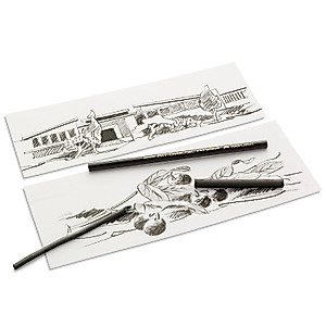 Faber-Castell PITT Charcoal Pencil Supreme Artist Quality, Grease and Oil Black Hard