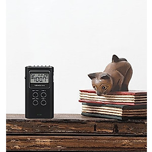 Sangean DT-180 AM / FM Pocket Radio