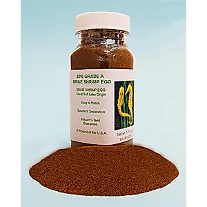 Brine Shrimp Hatchery Dish + 3 Months Supply of Brine Shrimp Eggs