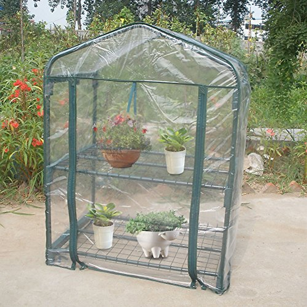 Portable Greenhouse Instant Pop-up Fast Setup Indoor Outdoor Plant Gardening Green House Canopy (Not Included The Iron Stand)