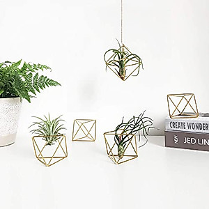 Mkono 5 Packs Air Plant Holder, Same Shape Metal Tabletop Himmeli Decor Geometric Planter Tillandsia Air Fern Display Stand with Each Side 2.6'' Long for Christma Decor Gifts for Plant Lovers, Gold
