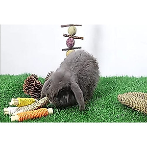Bunny Chew Toys for Teeth, Rabbit Molar Toys, Natural Timothy Grass, Flowers, Seagrass, Sweet Bamboo Small Animal Chew Toys for Rabbits Chinchilla Hamsters Guinea Pigs Gerbils Groundhog Squirrels