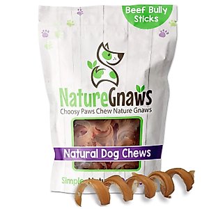 Nature Gnaws Bully Stick Springs for Dogs - Premium Natural Beef Dental Bones - Long Lasting Curly Dog Chew Treats for Aggressive Chewers - Rawhide Free 25 Count (Pack of 1)
