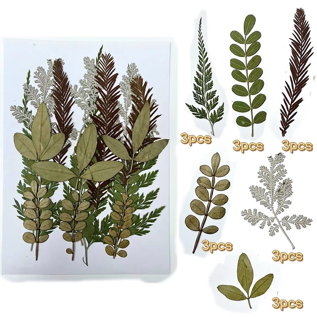 Fbrand 180 Pieces of Real Dry Embossed Flowers with Plant Petals Used for Scrapbook Supplies Card Making Nail Art Picture Frame Decoration soap and Candle