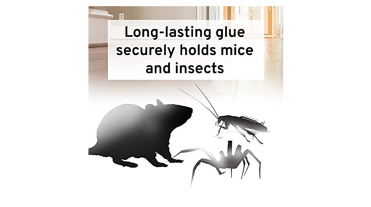 Victor M309 Mouse & Insect Glue Traps - 72 Count