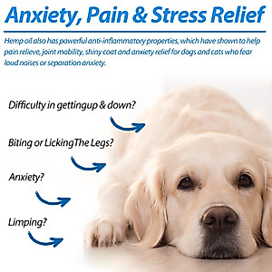 AIQIUSHA Oil for Dogs 60ML,Organic Pet Oil for Pain,Skin,Arthritis Pain,Pain Relief,Calming,Omega 3,6,9 for Dog Emotions, Dog Barking & Dog Joints,Supports & Maintains Healthy Joints (1 Pack, Blue)