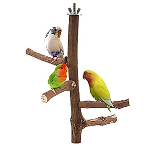 Filhome Bird Perch Stand Toy, Natural Wood Parrot Perch Bird Cage Branch Perch Accessories for Parakeets Cockatiels Conures Macaws Finches Love Birds(9.8" Length)