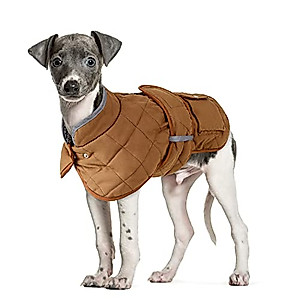 ASENKU Dog Coat for Winter Waterproof Dog Winter Coat Dog Jacket, Dog Hunting Vest for Small Medium and Large Dogs with Pocket & Zipper Leash Hook