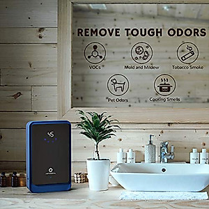 Airthereal Replacement Tubes and Diffuser Stones for AH1000 Portable Ozone Machine 1000 mg/h