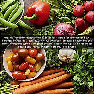 Azomite Organic Micronized Trace 0-0.2 Fertilizer Bulk Bag of 67 Essential Minerals OMRI Certified, 20 Lbs