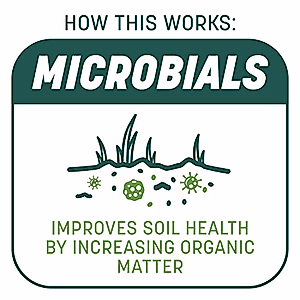 Pennington Smart Patch Sun and Shade Mix Jug 5 lb