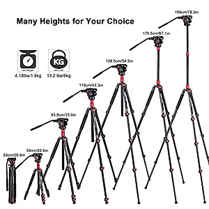 Video Tripod, Avella A154P Video Camera Tripod Monopod Aluminium Alloy 78.3 inch for Canon Nikon Sony Olympus Panasonic DSLR Camera