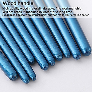 Foeran Paint Brushes Set,30 Pcs Round Pointed Tip Paintbrushes Nylon Hair Artist Acrylic Paint Brushes for Acrylic Oil Watercolor,Face Nail Art,Miniature Detailing and Rock Painting